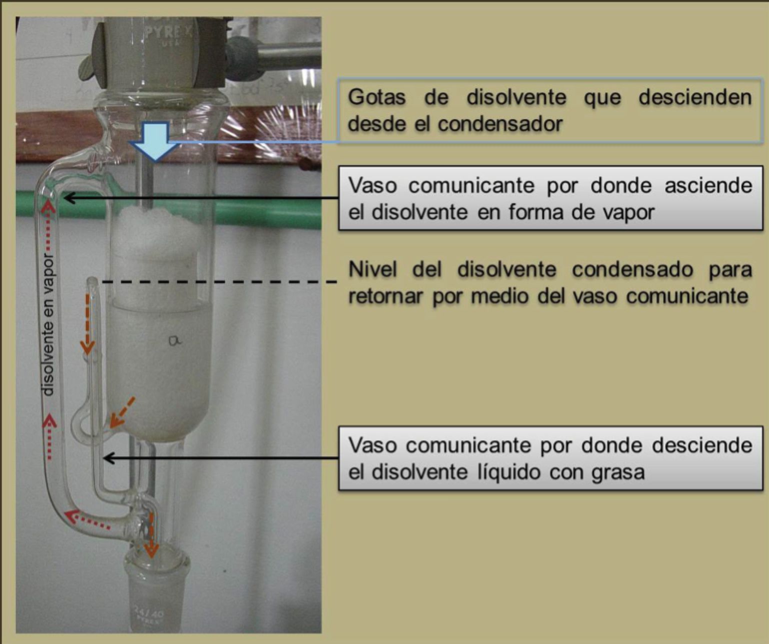 SOXHLET, DEL INVENTOR AL MÉTODO