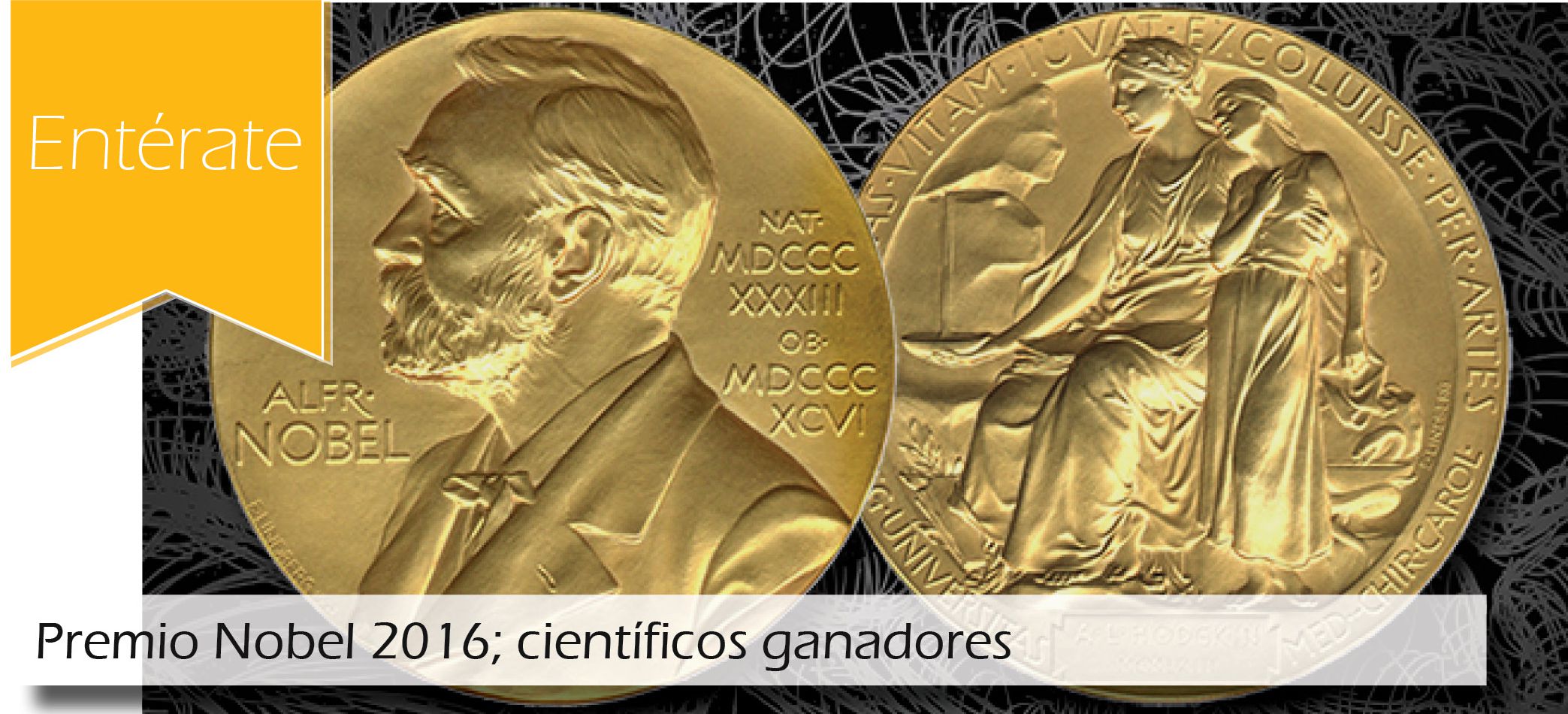 PREMIO NOBEL 2016; CIENTÍFICOS GANADORES