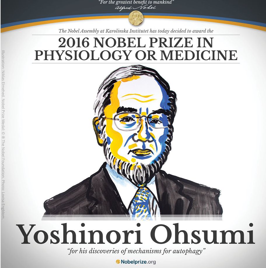 PREMIO NOBEL 2016; CIENTÍFICOS GANADORES